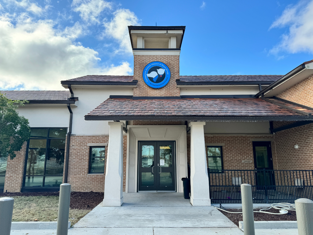 Companion Animal Alliance: Where Compassion Meets Action - Baton Rouge ...